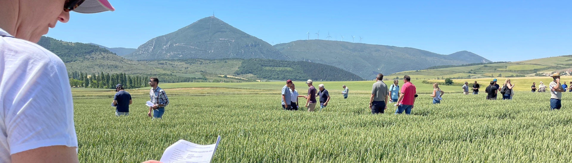 INTIA mostrará al sector agrícola sus más de 100 ensayos en hortícolas ...